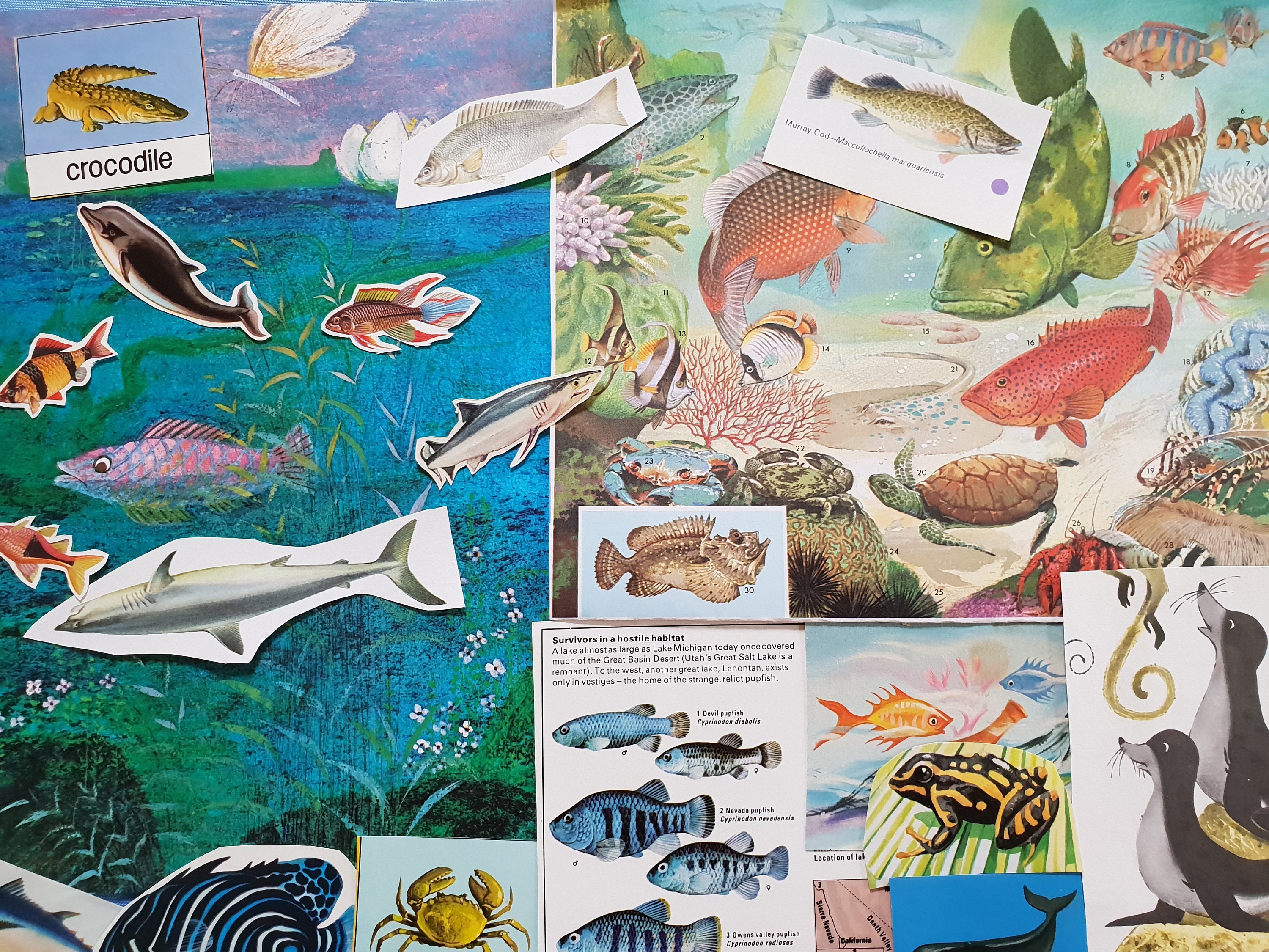 Kids' Crafts Scrapbook Images Ocean Cut Files Printable Coral Reef ...