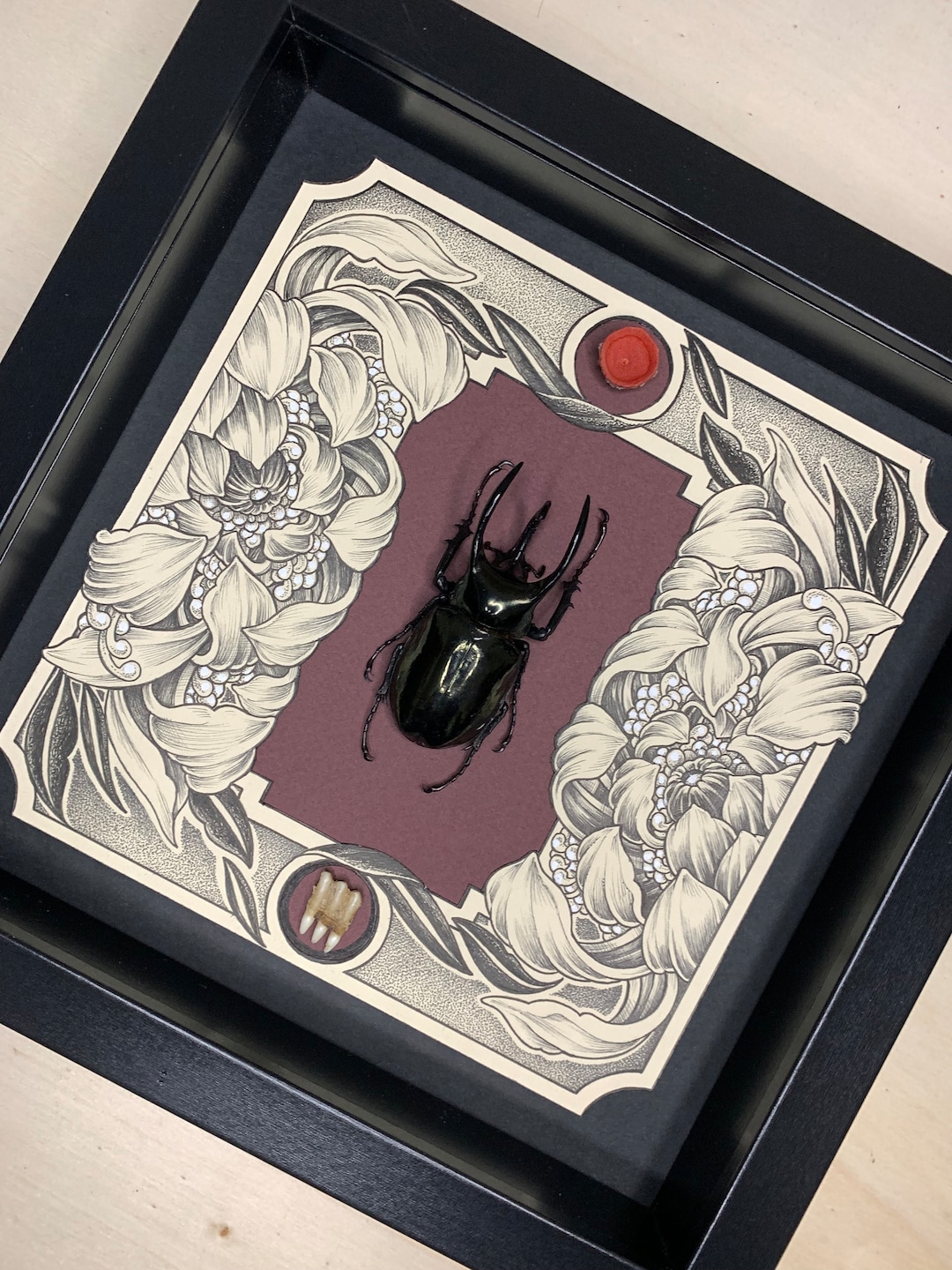 ATLAS BEETLE Insect Shadow Box . Japanese Chrysanthemum Dark Wall Art ...