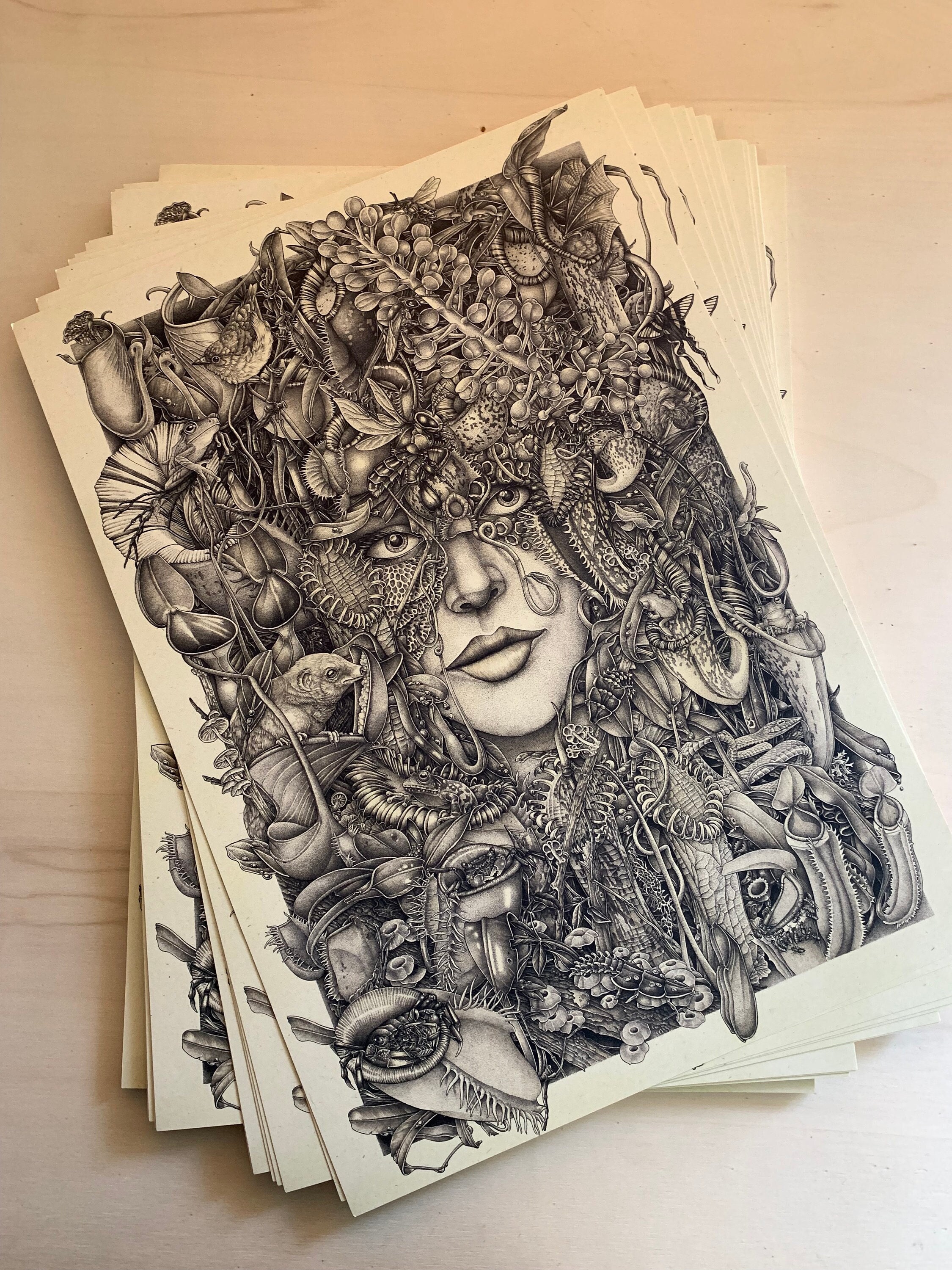 NEPENTHES INFAUNA Carnivorous Plants Nature Illustration Wall Art Print ...