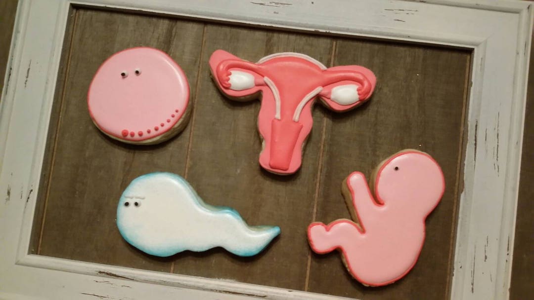 IVF Cookies! - One Dozen - Etsy