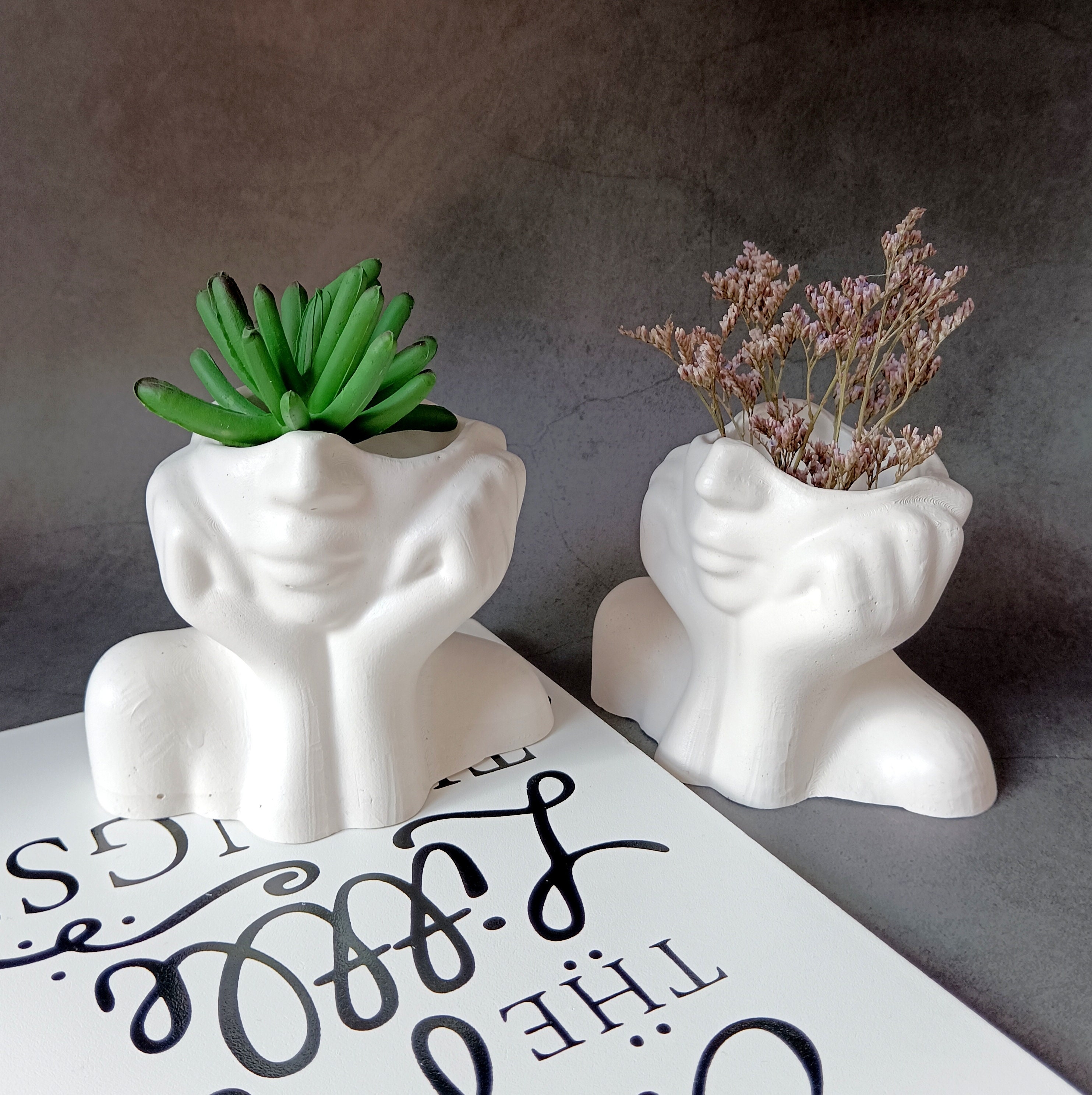 Unique Female Face Pots | Set of 2 | Decorative Succulent Planters ...