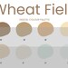Wheat Field Digital Colour Palette | Brand Colour Palette | Colour HEX ...