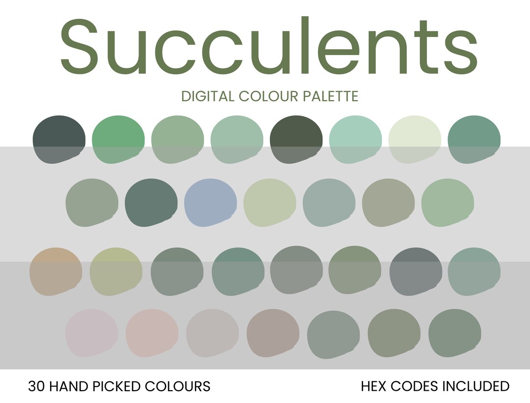 Succulents Digital Colour Palette | Brand Colour Palette | Colour HEX ...