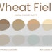 Wheat Field Digital Colour Palette | Brand Colour Palette | Colour HEX ...