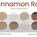 Cinnamon Roll Digital Colour Palette | Brand Colour Palette | Colour ...