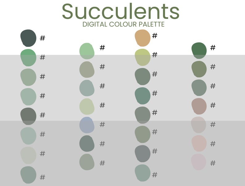 Succulents Digital Colour Palette Brand Colour Palette Colour HEX Codes ...