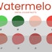 Watermelon Digital Colour Palette Brand Colour Palette Colour HEX Codes ...
