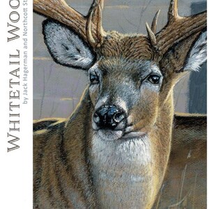 Whitetail Deer Panel - Whitetail Woods Panel 43" X 28" DP24885-43 by ...