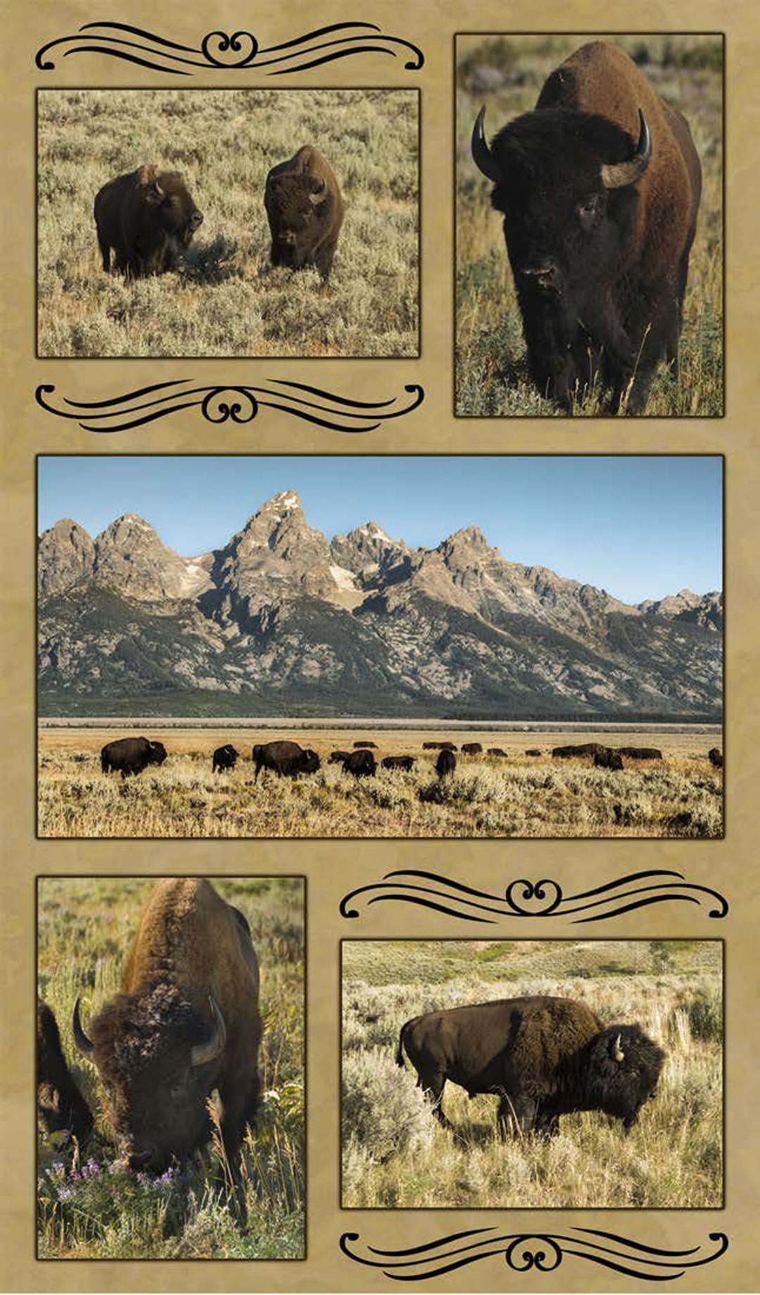 Buffalo Composite Digital Print Fabric Panel - Etsy