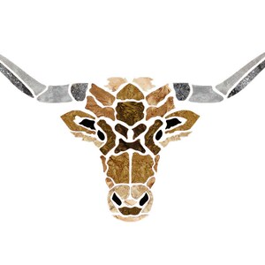 Longhorn 36 X 18 Laser Cut Applique Kit by Westfield Laser Design ...