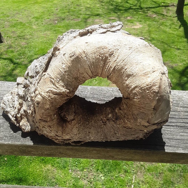 Tree Knot - Etsy