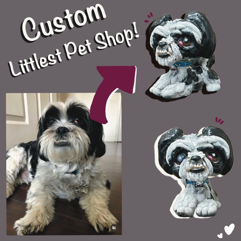 Customized LPS - Etsy