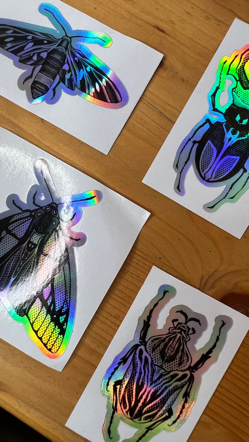 Holographic Bug Sticker Pack of 4 - Etsy