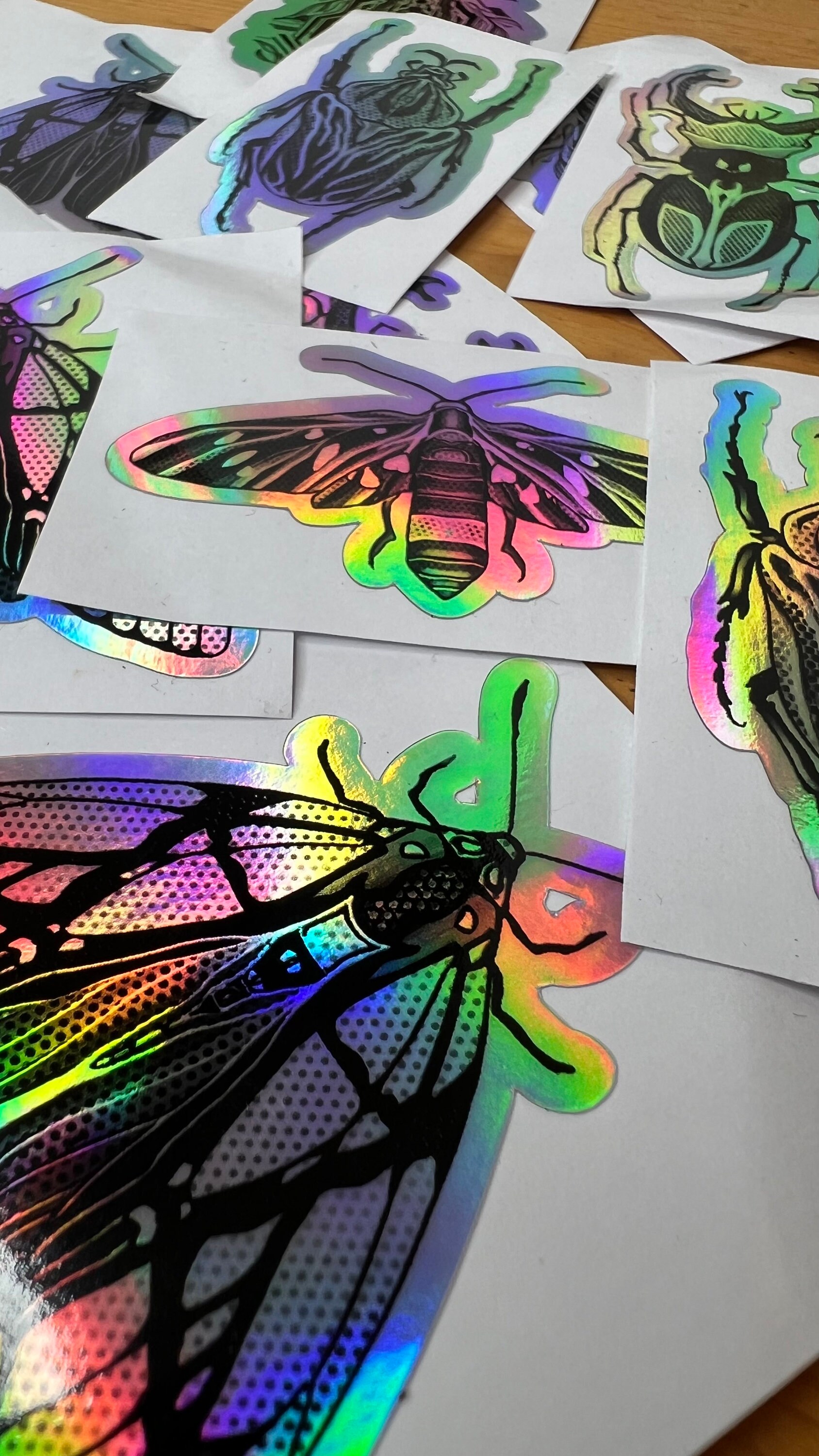Holographic Bug Sticker Pack of 4 - Etsy