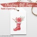Printable Christmas Flamingo Gift Tags - Etsy