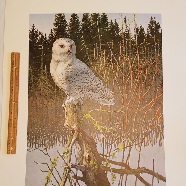 Wayne Meineke Art - Etsy