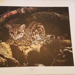 Vintage 1985 Charles Frace Art Litho Print Signed " a Sunny Spot ...