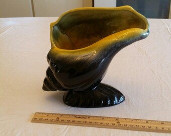 Conch shell art | Etsy