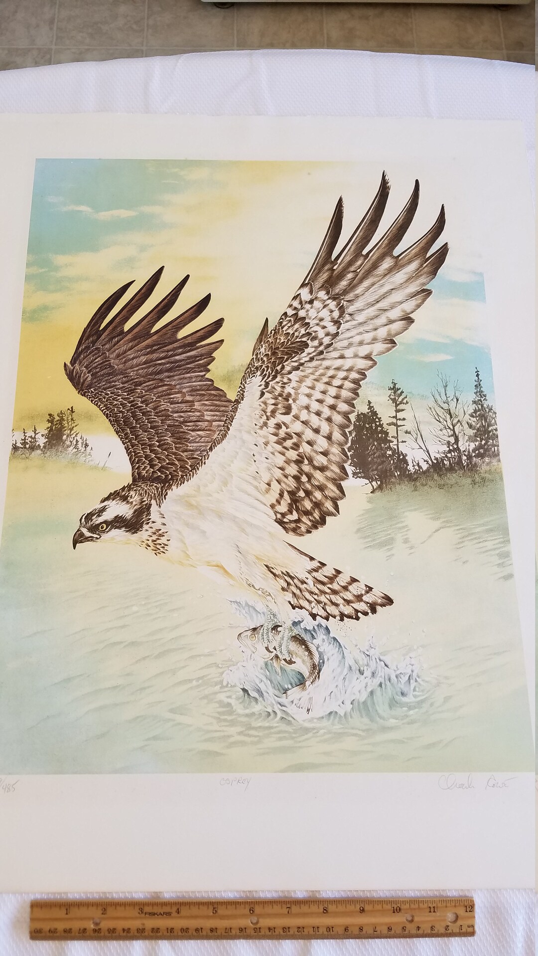 Vintage 1980s Charles Rowe Signed & Numbered ' OSPREY " Bird Litho Art ...