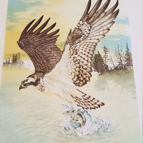 Wildlife Artist - Etsy