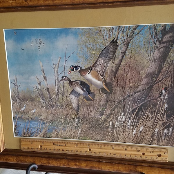 Ducks Hunting Wall Art - Etsy