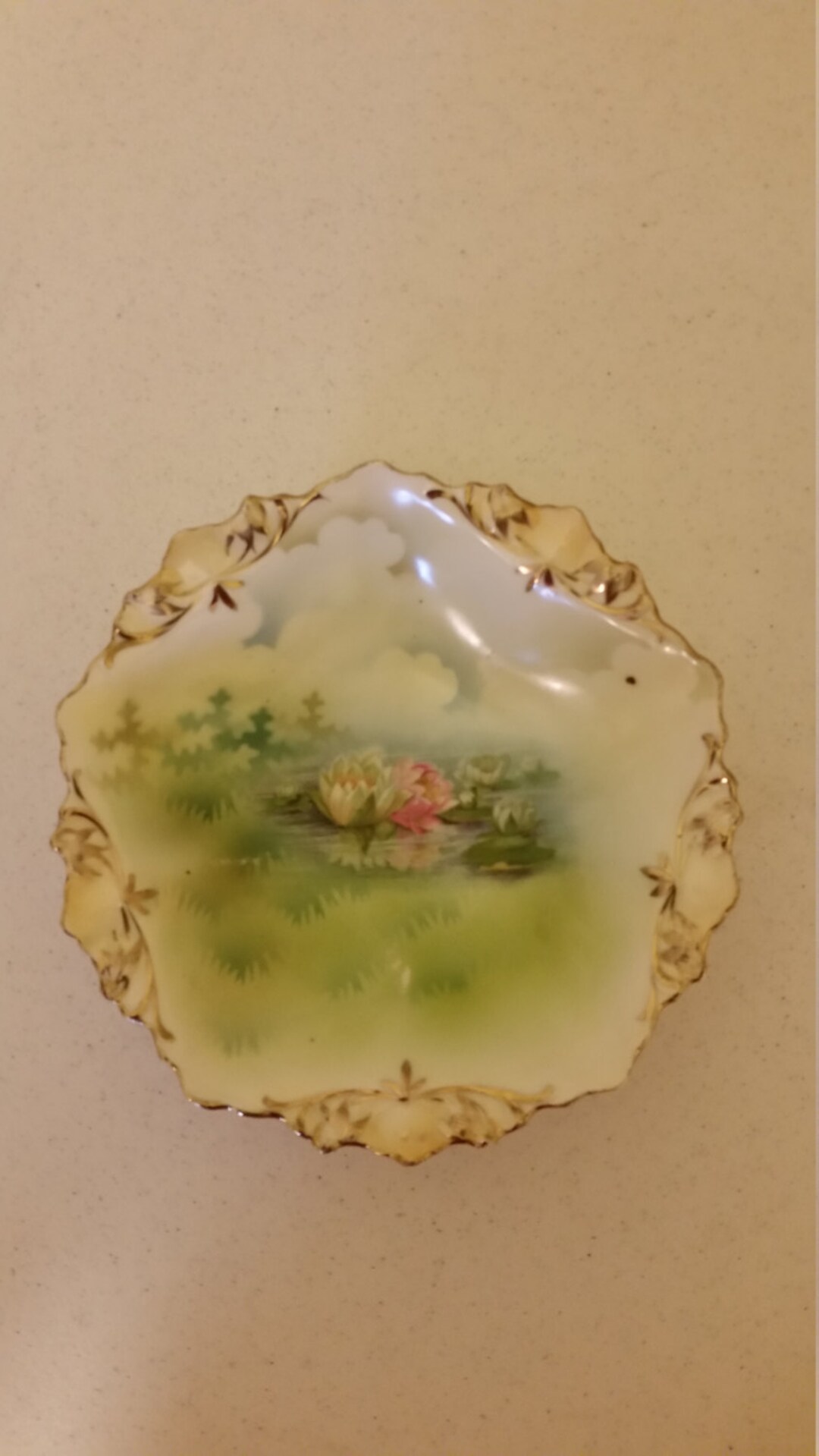 Rare Antique Rs Prussia Bowl Early Pattern 1880 1917 Hand Painted Water ...