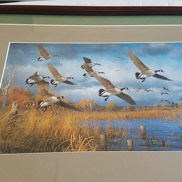 Canada Geese Art - Etsy