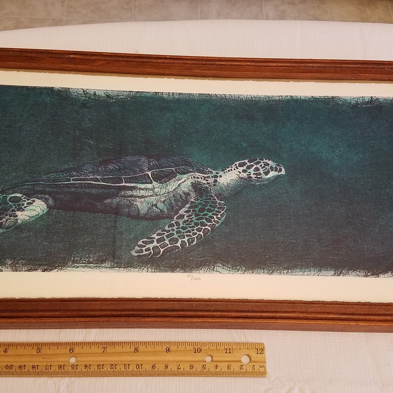 Turtle Picture Frame - Etsy