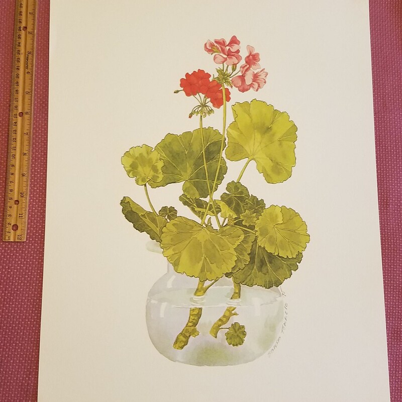Geranium Print - Etsy