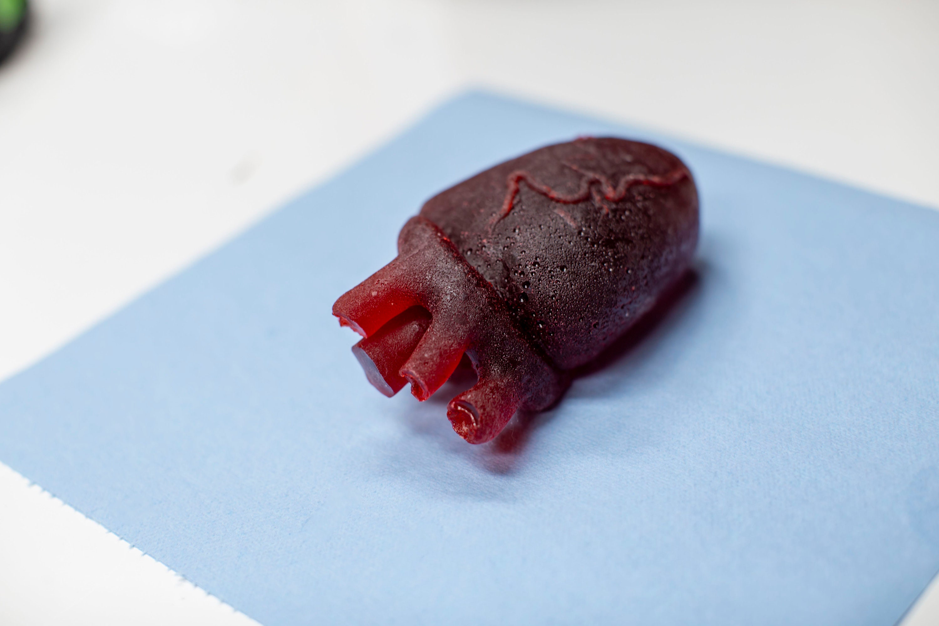 Gummy Human Heart Prop - Etsy