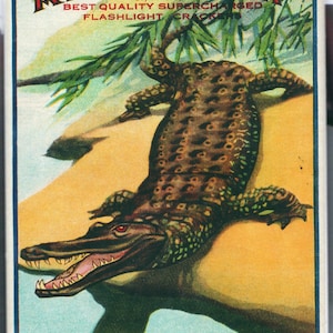 Vintage Alligator Firecracker Label on a Fridge Magnet 2.5 X 3.5" - Etsy