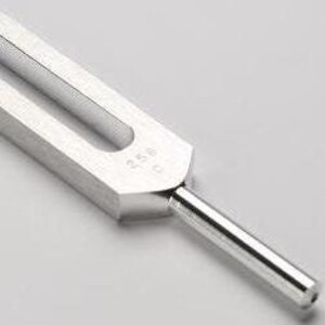 C 256 Hz Weighted Tuning Fork - Etsy