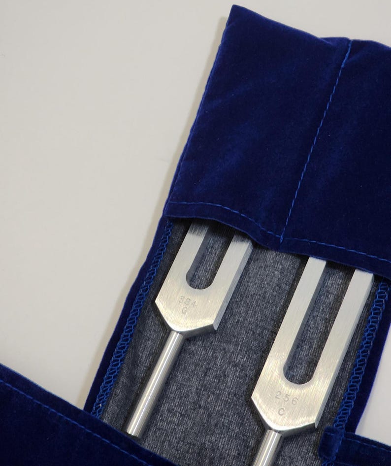 A Pair is Better! Tuning Forks C 256 Hz and G 384 Hz in Pouch - Etsy