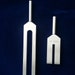 C 256 Hz Weighted Tuning Fork - Etsy