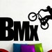 BMX Wall Sticker Extreme Sports Decals Freestyle Jumping - Etsy