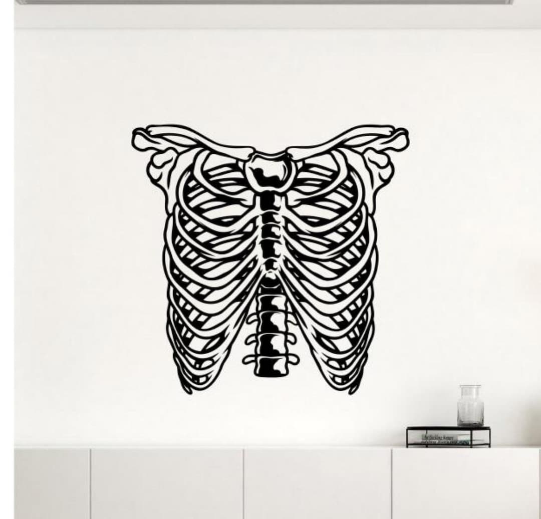 Skeleton Rib Cage Wall Decal Vinyl Sticker Decor Hospital Wall Art ...