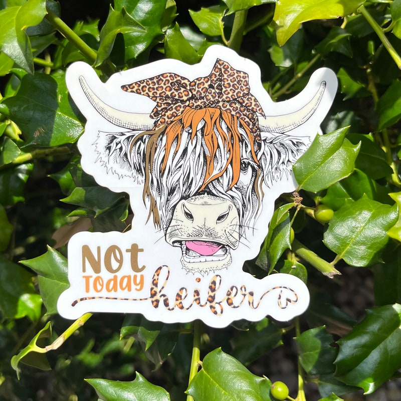 Heifer Decal - Etsy