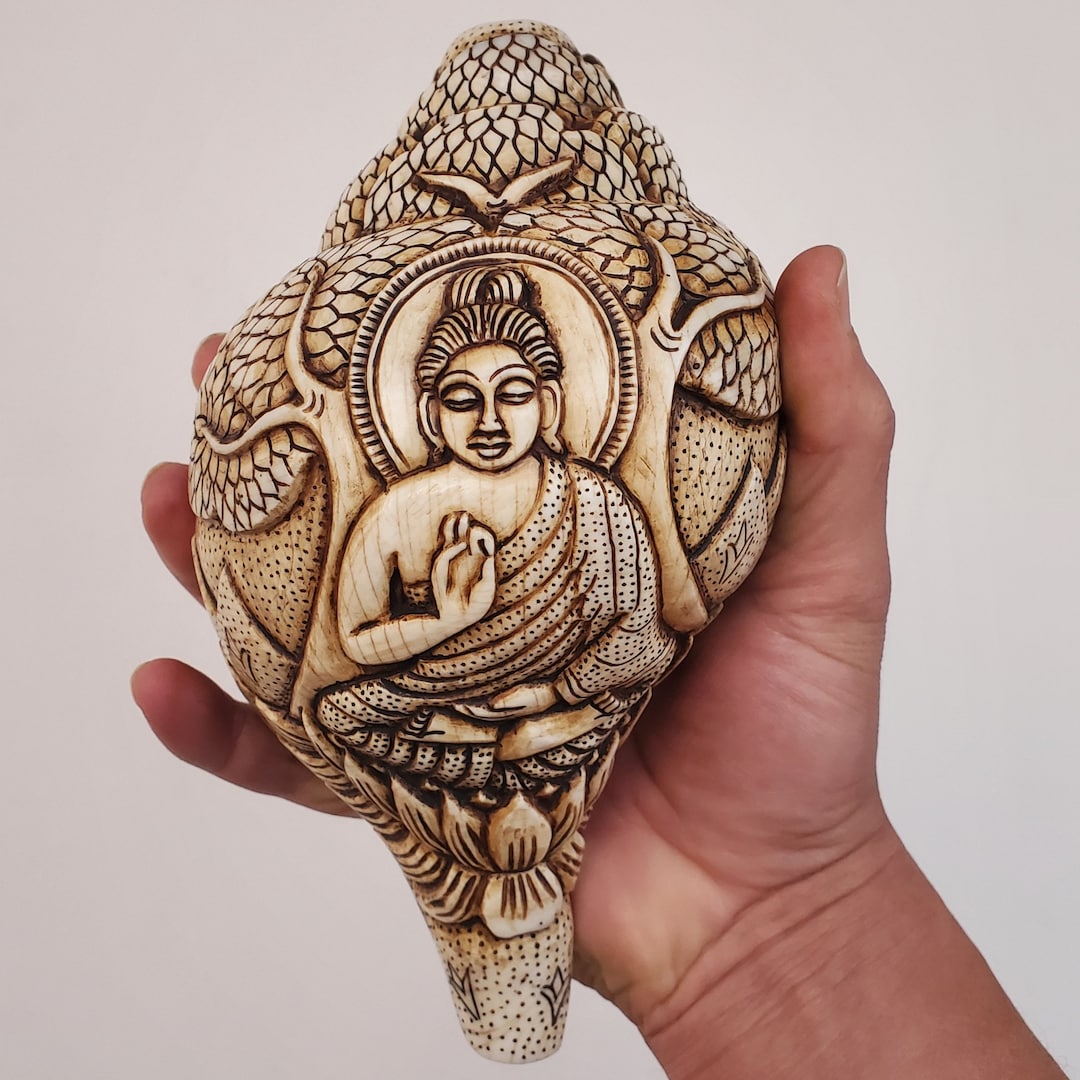Shakyamuni Buddha Carved on Conch Shell Trumpet 7.5