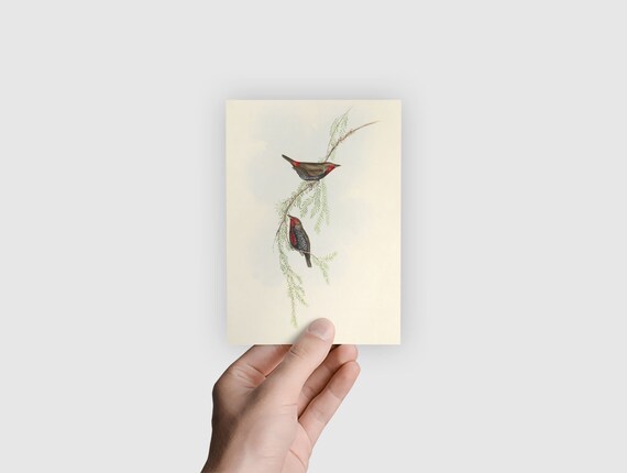 Paper & Party Supplies Greeting Cards John Gould Greeting Card Vintage ...