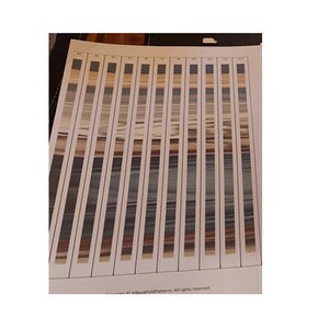 No Such Thing Photo Strip Book Art Pattern (980PS) - Etsy