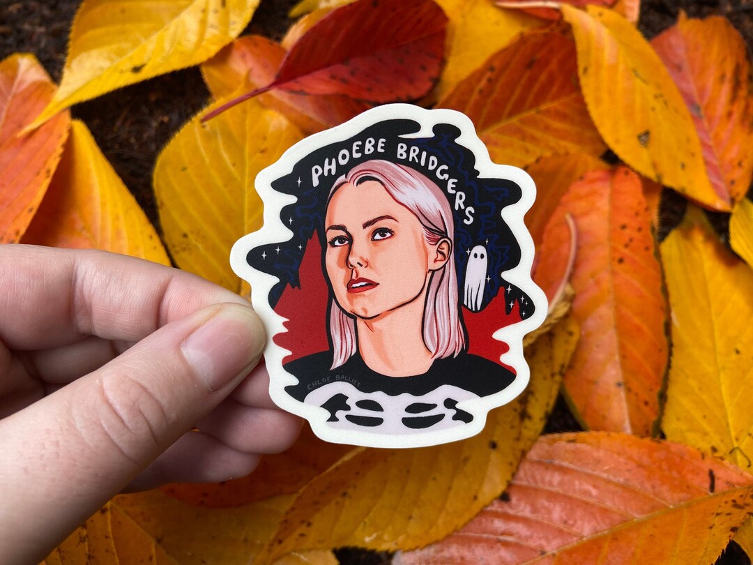 Phoebe Bridgers Punisher Sticker | Waterproof Vinyl Sticker | Water ...