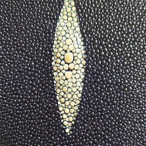 Mantarraya Piel Auténtica Pez Mantarraya Teñido Vivos Colores | Etsy