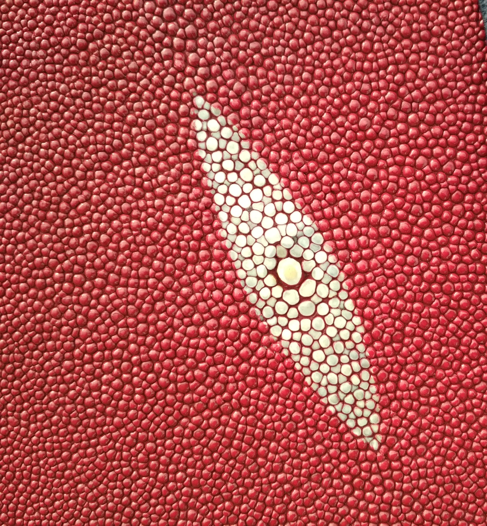 Mantarraya Piel Auténtica Pez Mantarraya Teñido Vivos Colores | Etsy