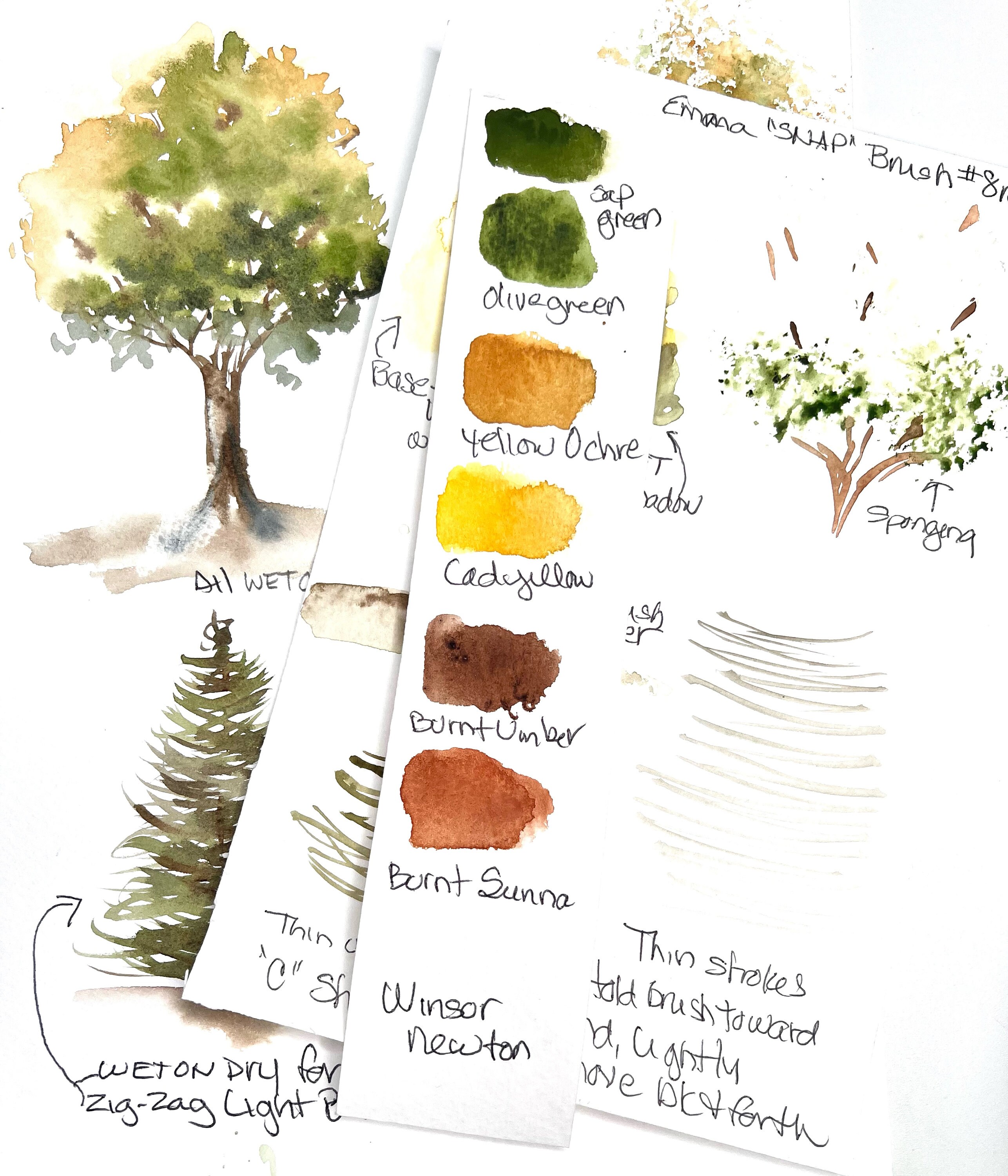 DIGITAL ONLY- Lovely Trees Watercolor Youtube Companion Worksheets - Etsy