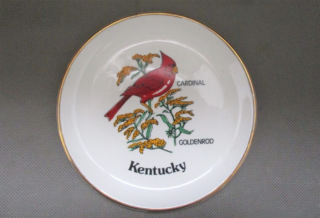 Vintage Kentucky Souvenir Plate ,cardinal Bird and Goldenrod Flowers ...