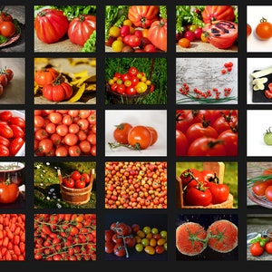200 TOMATOES PHOTOSHOP OVERLAYS, Digital Textures, Backgrounds ...