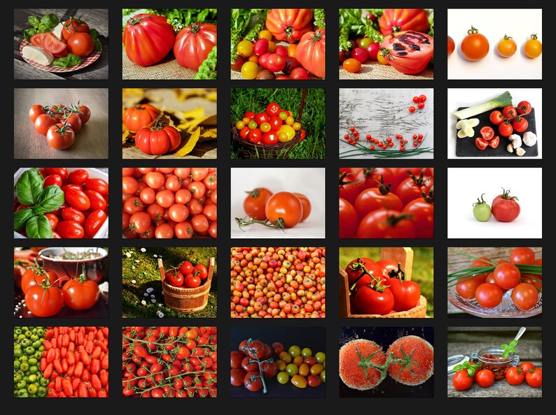 200 TOMATOES PHOTOSHOP OVERLAYS Digital Textures - Etsy