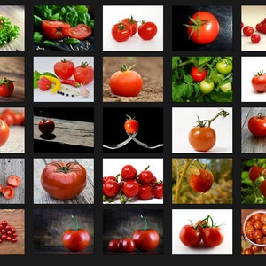 200 TOMATOES PHOTOSHOP OVERLAYS, Digital Textures, Backgrounds ...