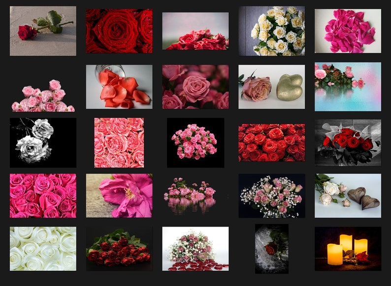 200 Red Roses Photoshop Overlays: HD Textures, Backgrounds (digital ...