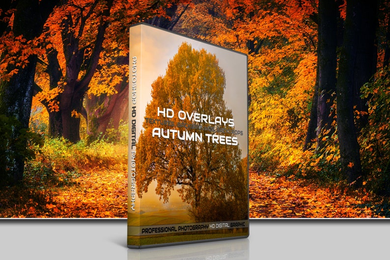 200 Autumn Trees Photoshop Overlays: HD Textures (digital Download) - Etsy